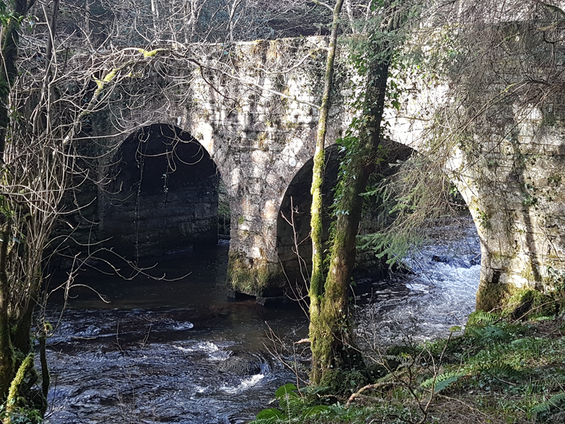 mill-walk – Clashmore and Kinsalebeg Community Council